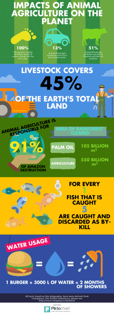 How the Animal Agriculture Industry Impacts the Planet - Good International